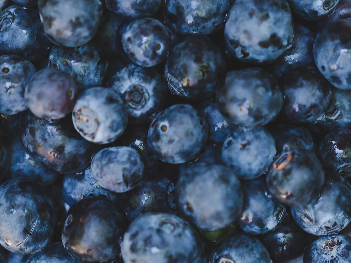 Blauwe bes - Gezonde Voeding Praktijk