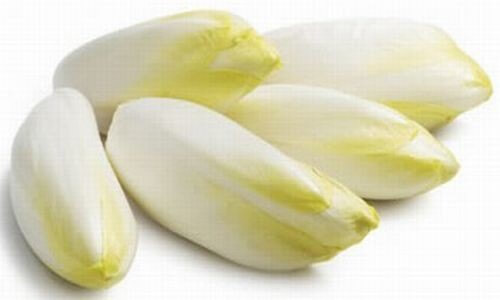 Witlof - Gezonde Voeding Praktijk